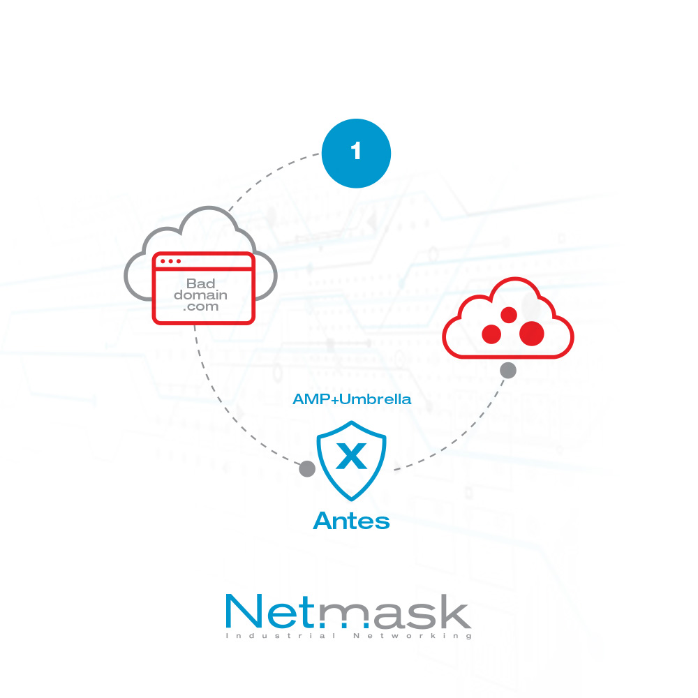 Netmask | Partner Cisco, Meraki, VMware, Solarwinds, Microsoft ...